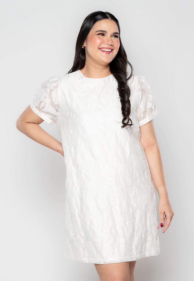 Milly Plus Size Misty Anne Shift Dress in Full Lace Fabric – Paperdolls